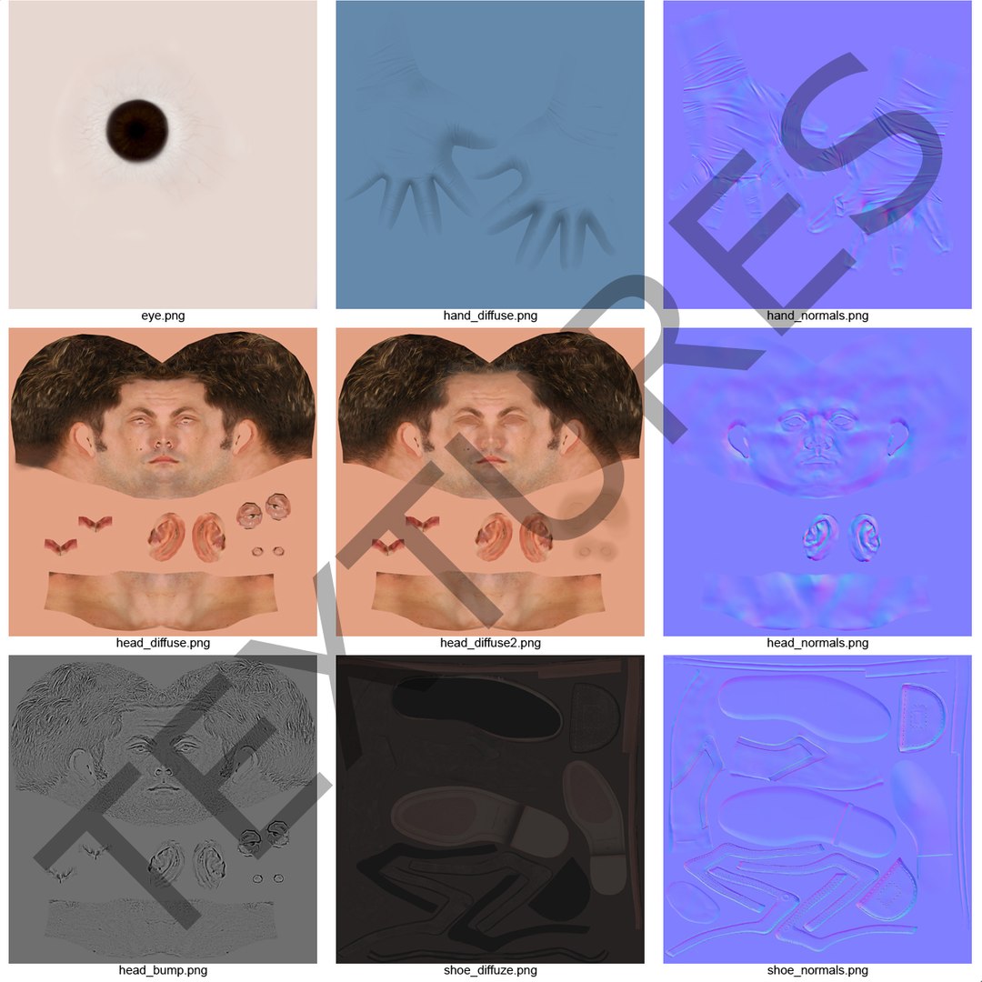 Max Scientist 2 Version