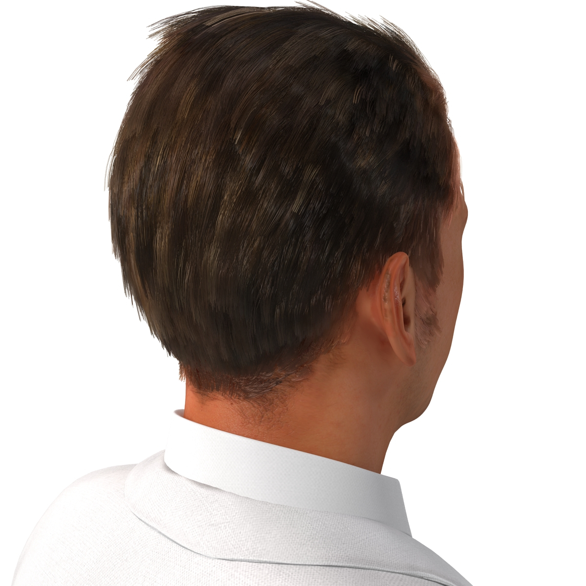 max scientist 2 version