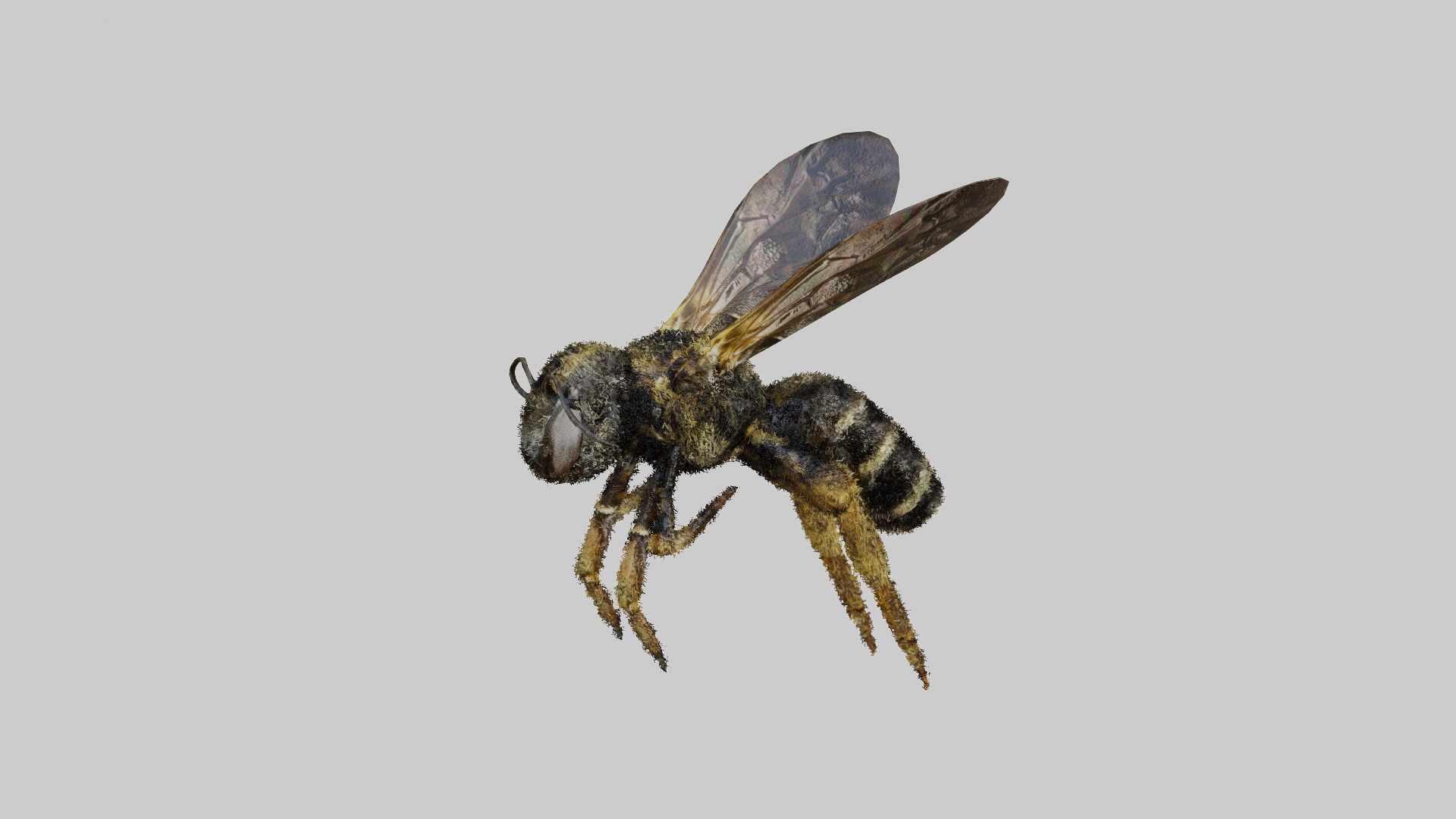 3D Animation BEE - TurboSquid 2227453