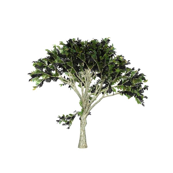 tree 3d ma