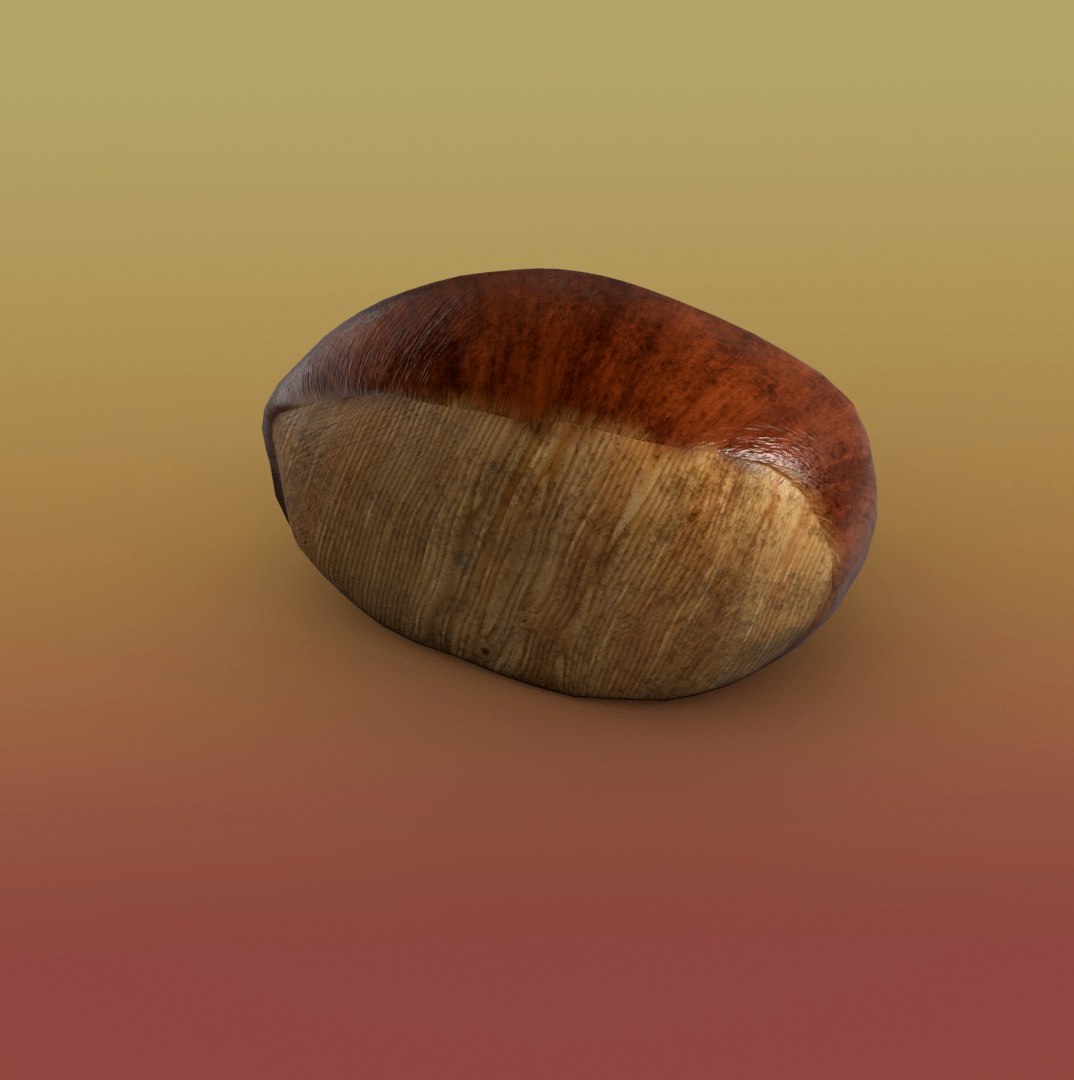 Chestnut nut 3D model - TurboSquid 1470997