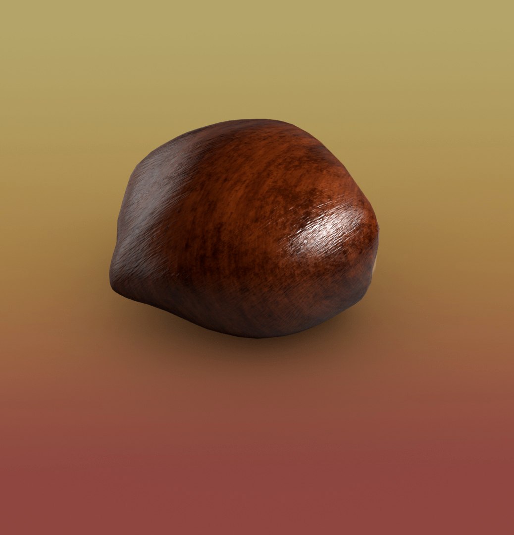 Chestnut nut 3D model - TurboSquid 1470997