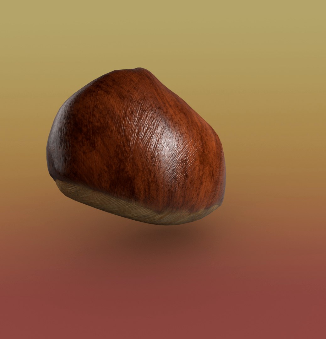 Chestnut nut 3D model - TurboSquid 1470997