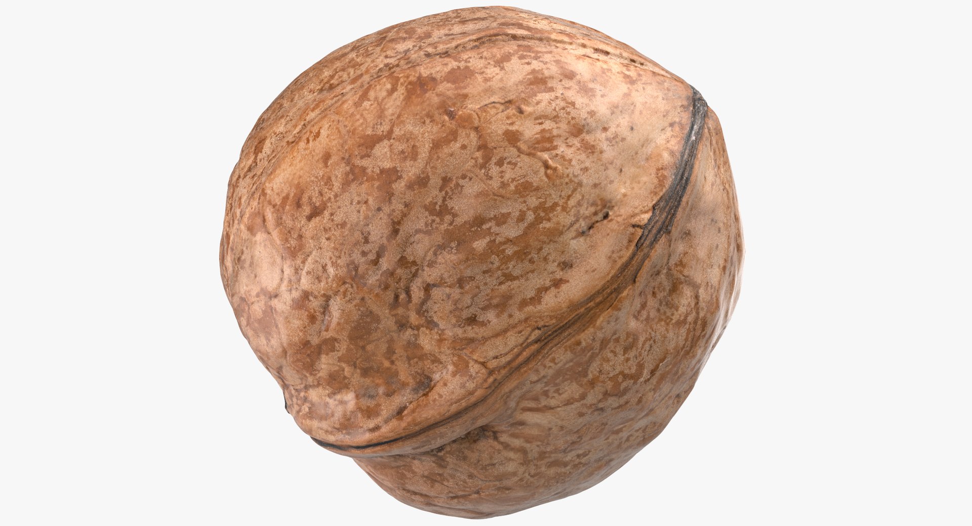 3D Almond With Shell and Walnut Collection 01 - 2 models - TurboSquid ...