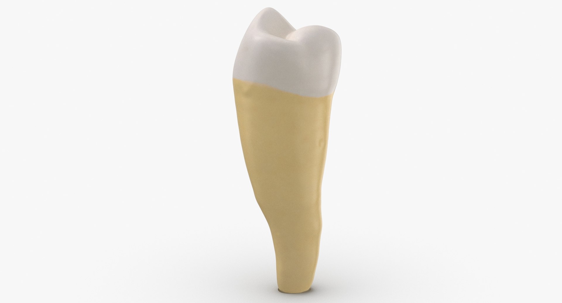 3D Human Lower Jaw Premolars Teeth Clean and Damaged Collection - 6 ...