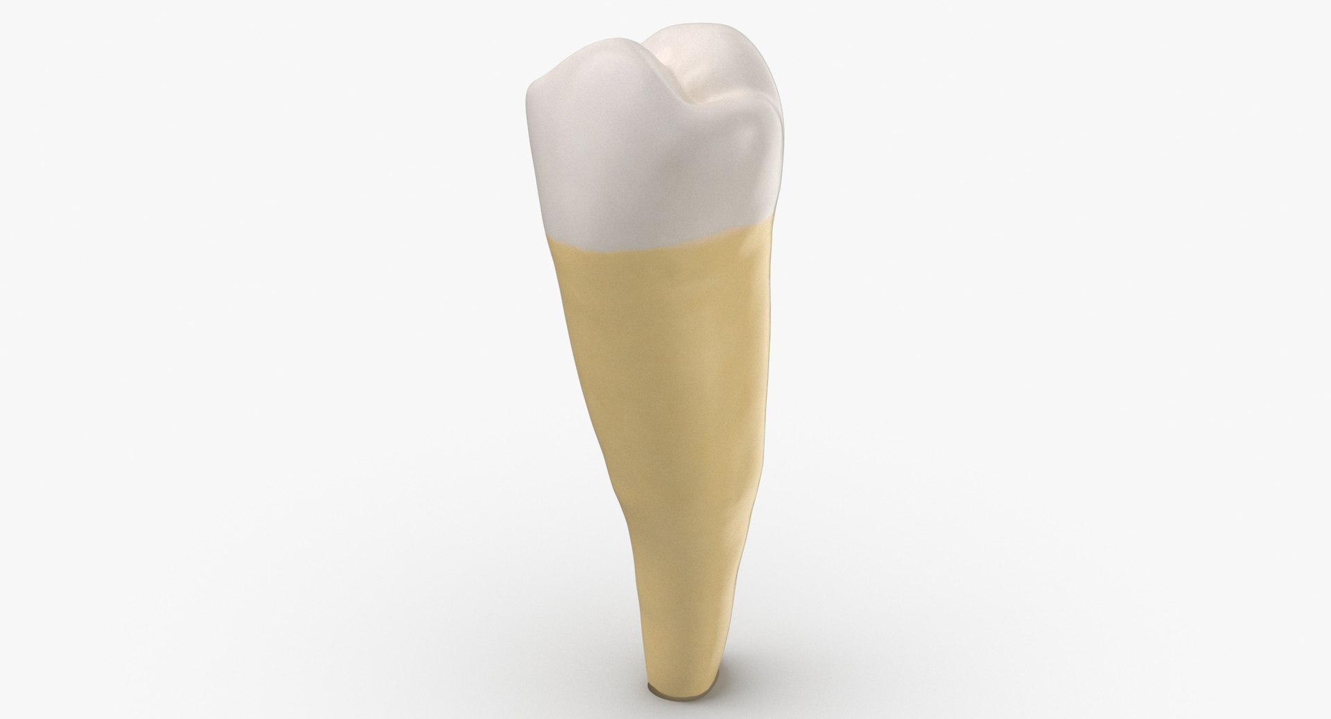 3D Human Lower Jaw Premolars Teeth Clean and Damaged Collection - 6 ...