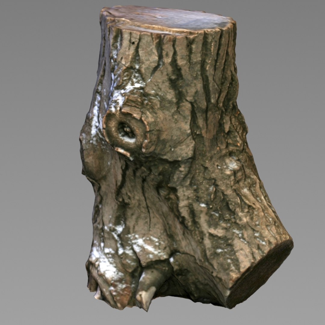 3d Stump Model