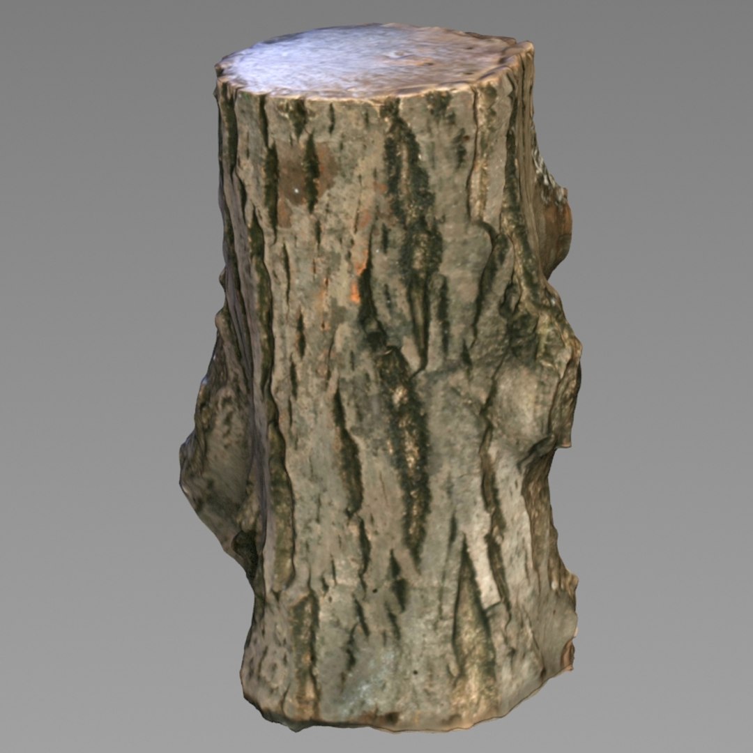 3d Stump Model