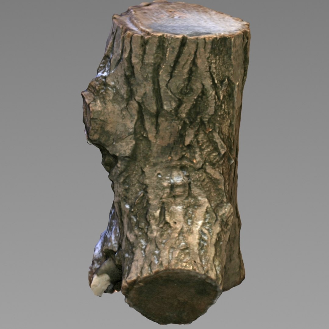 3d Stump Model