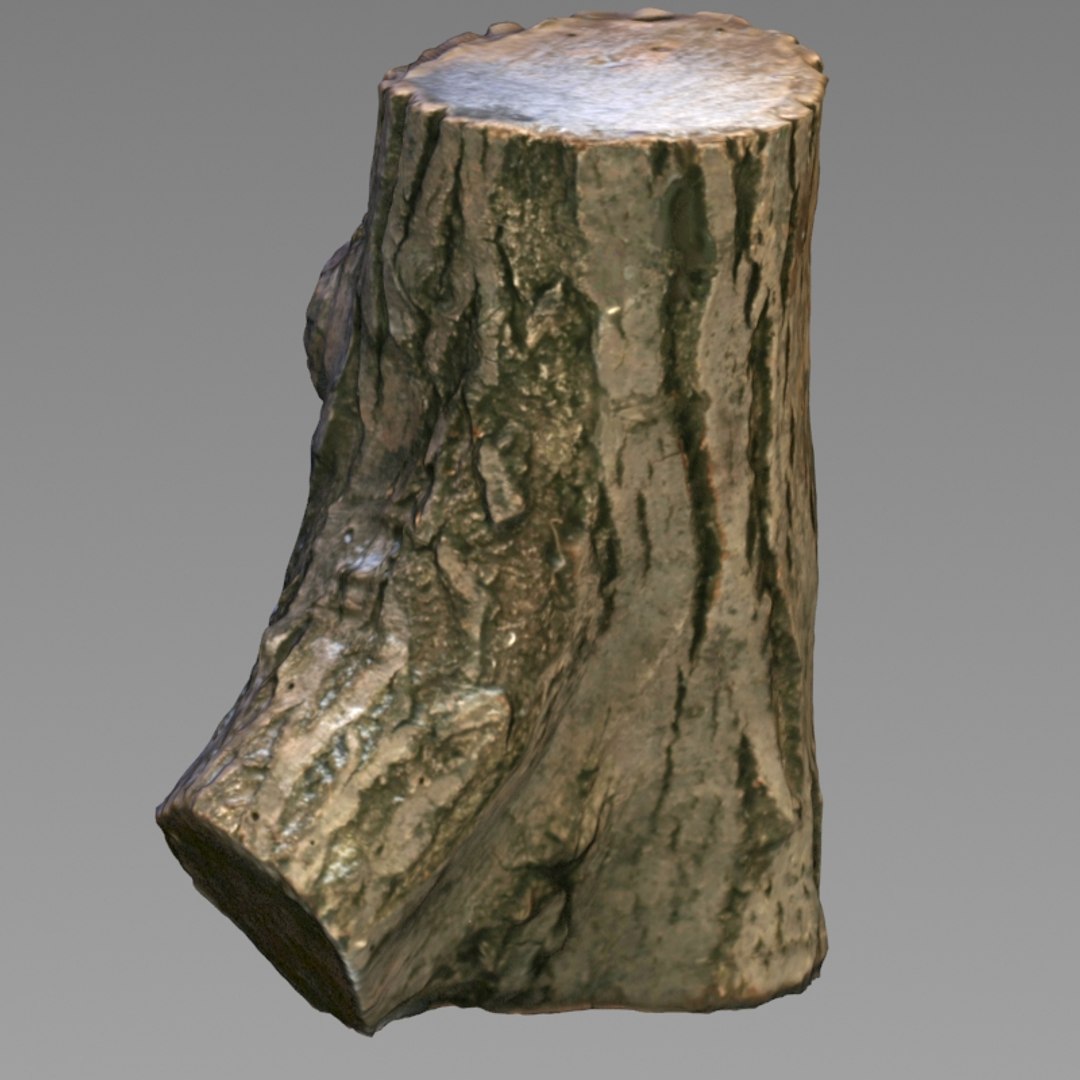 3d Stump Model