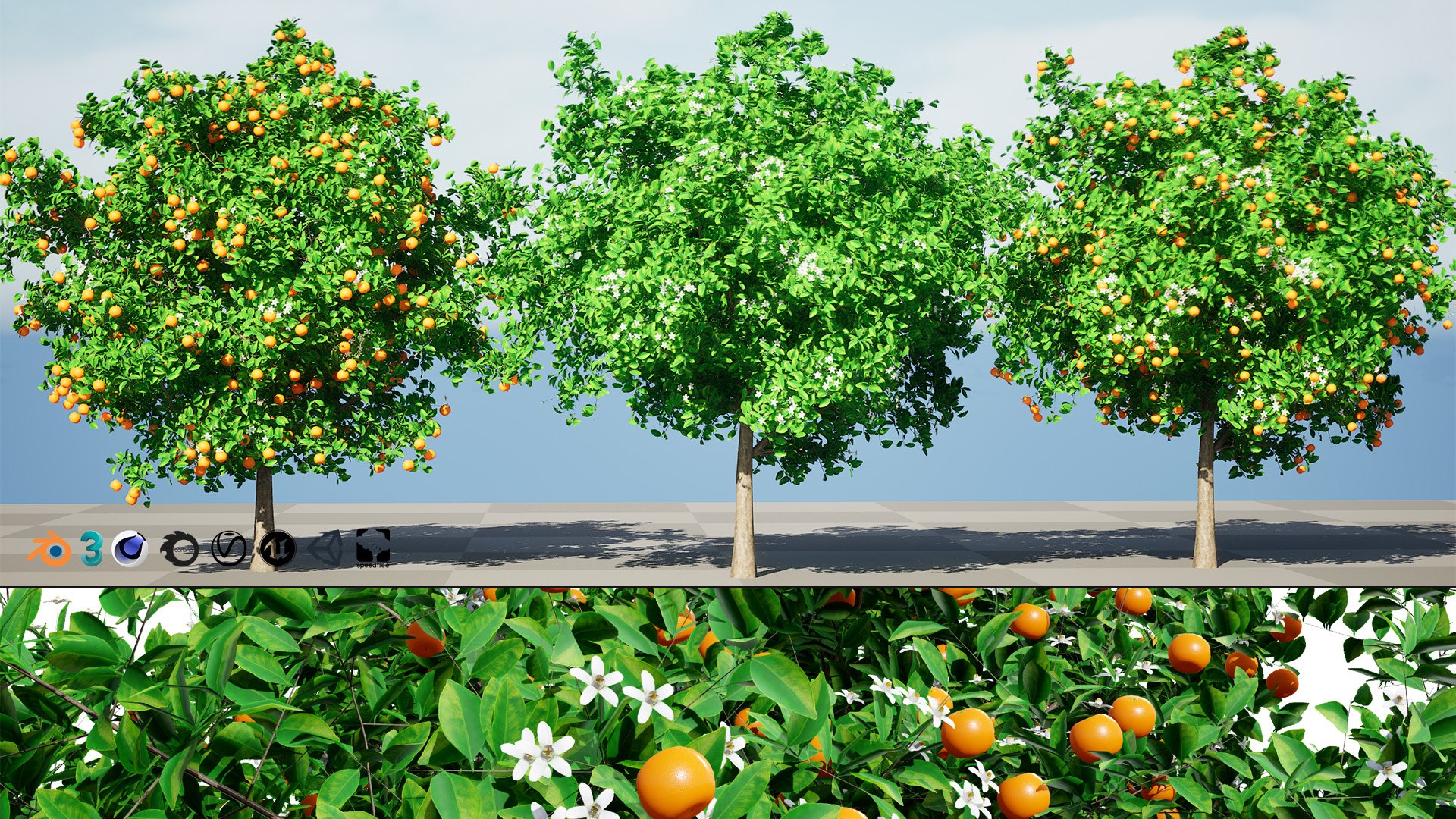 3D Detailed Orange Trees 3d Assets Model - TurboSquid 2275063
