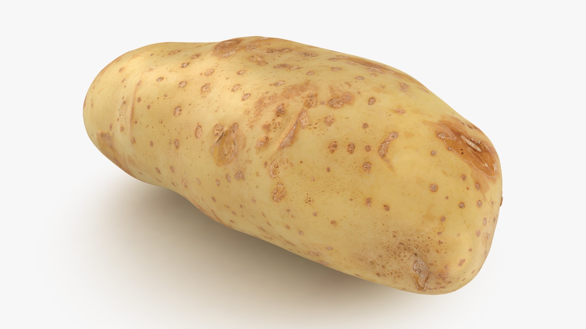 3D Potato 02 Model - TurboSquid 1876620