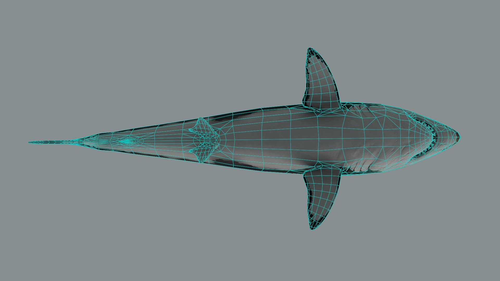 3D Megalodon Shark Model - TurboSquid 1627490