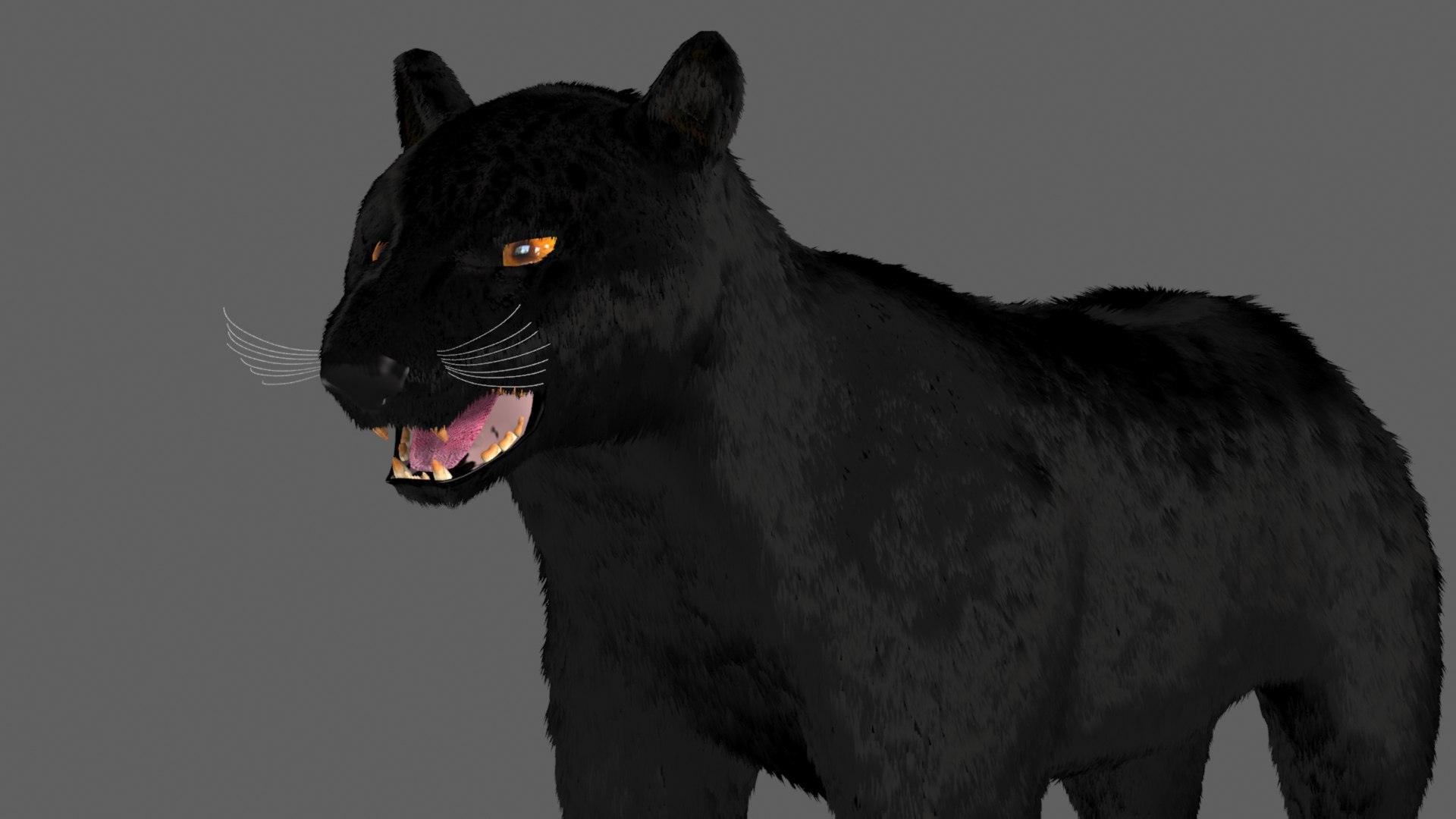 3D Black Panther Fur Animated - TurboSquid 1891671