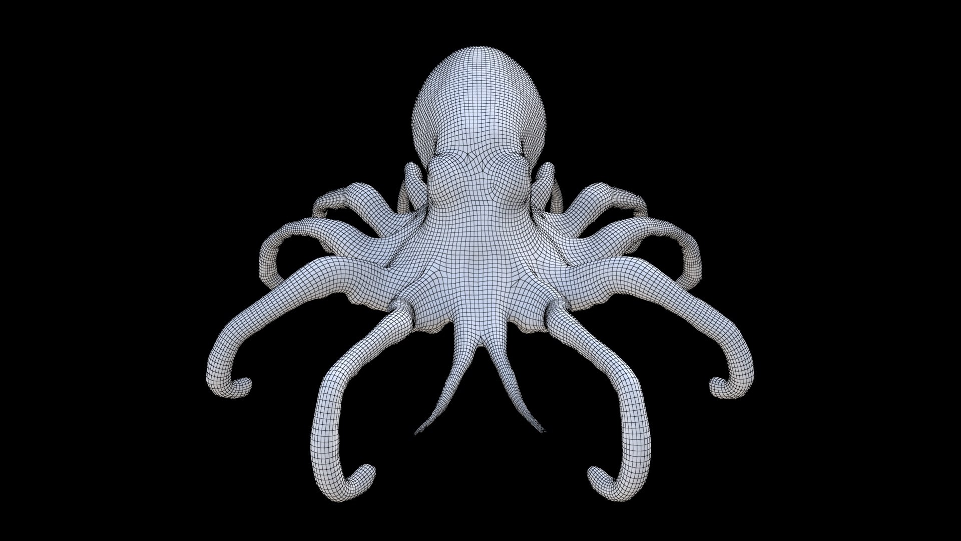 Squid Model - TurboSquid 2338848
