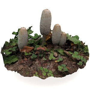 Free 3D Rhino 3d Tree Model Models - Available For Download On TurboSquid