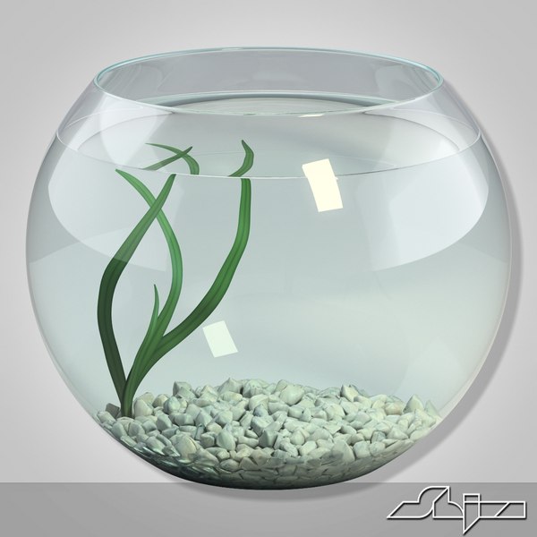 3D Fish-Tank Models | TurboSquid