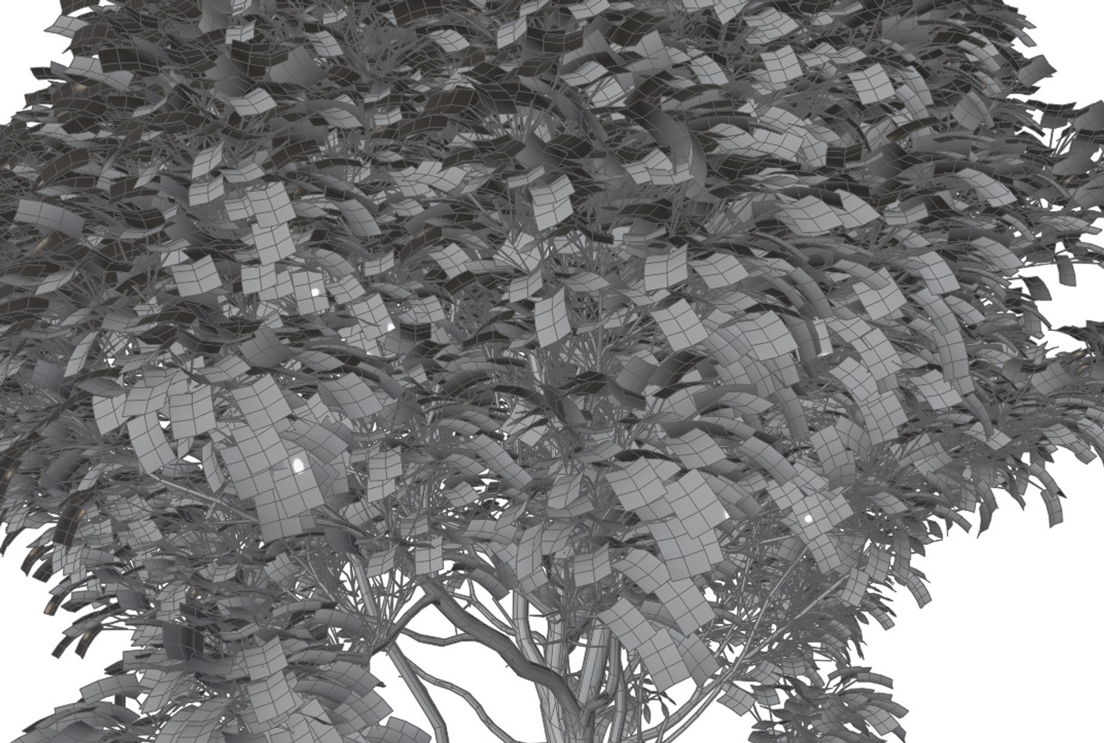 Oak Tree 3D Model - TurboSquid 1604325