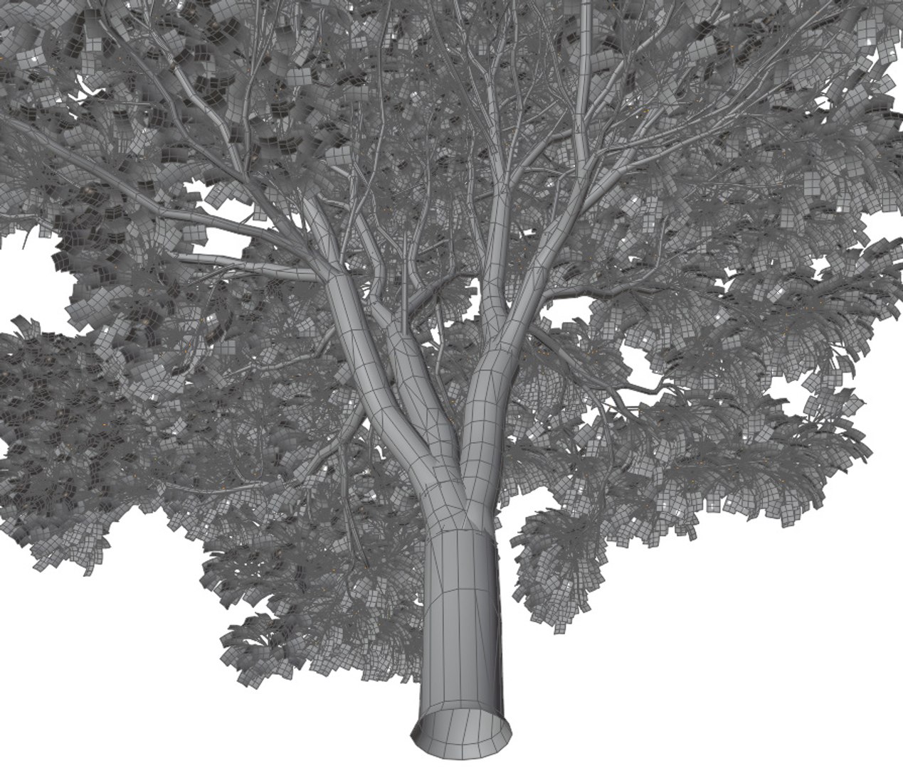 Oak Tree 3D Model - TurboSquid 1604325