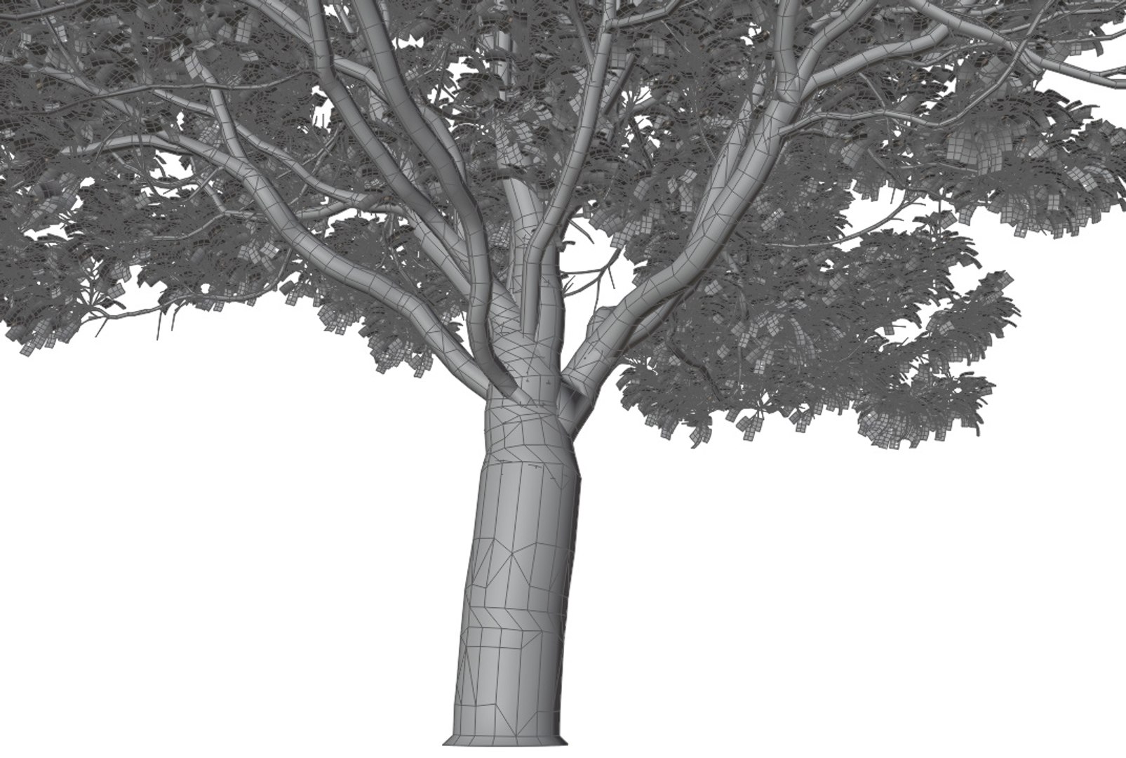 Oak Tree 3D Model - TurboSquid 1604325