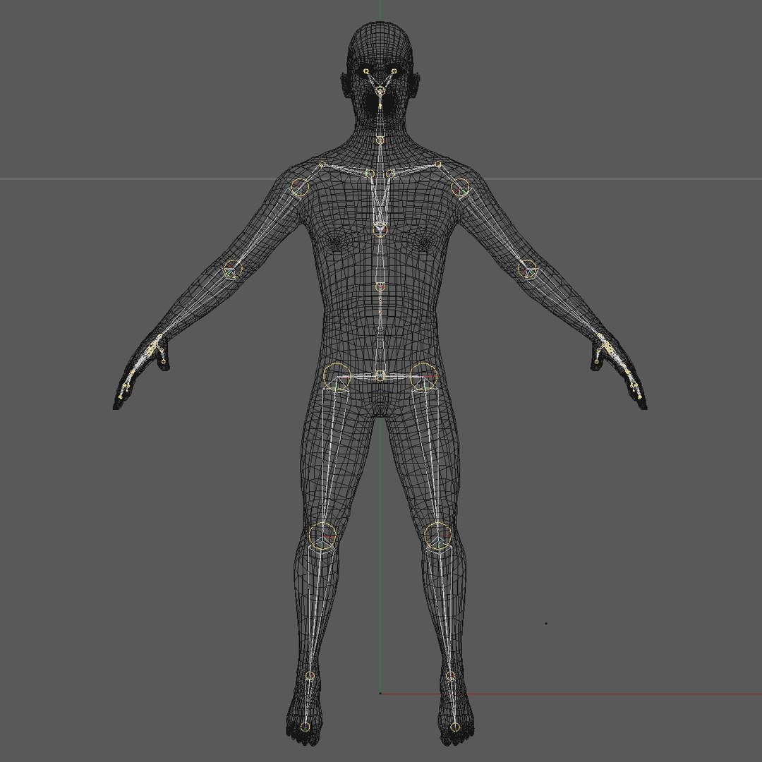 3d base mesh 24 year