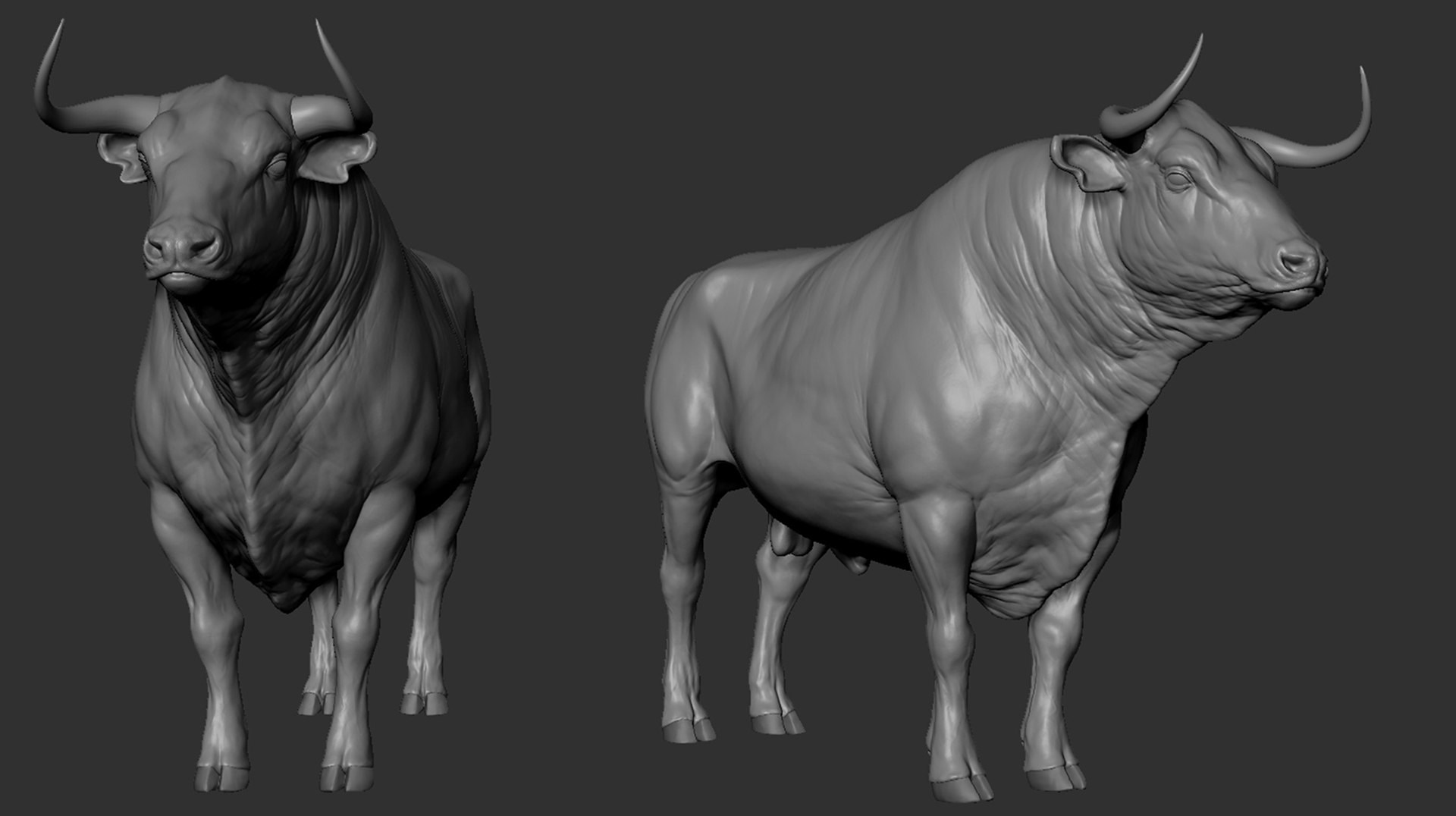 Bull model - TurboSquid 1726730