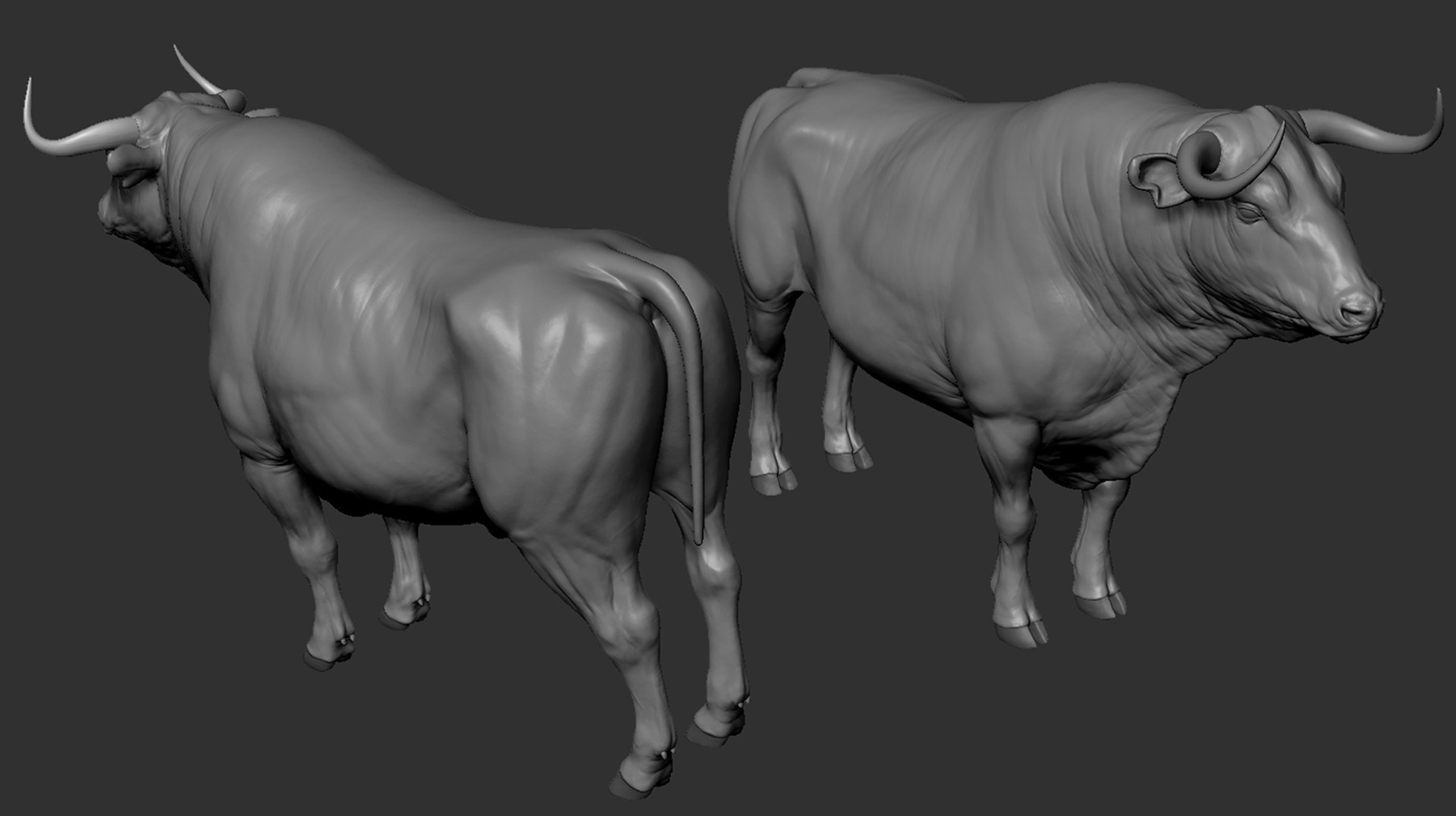 Bull model - TurboSquid 1726730