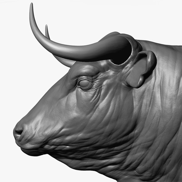 Bull model - TurboSquid 1726730