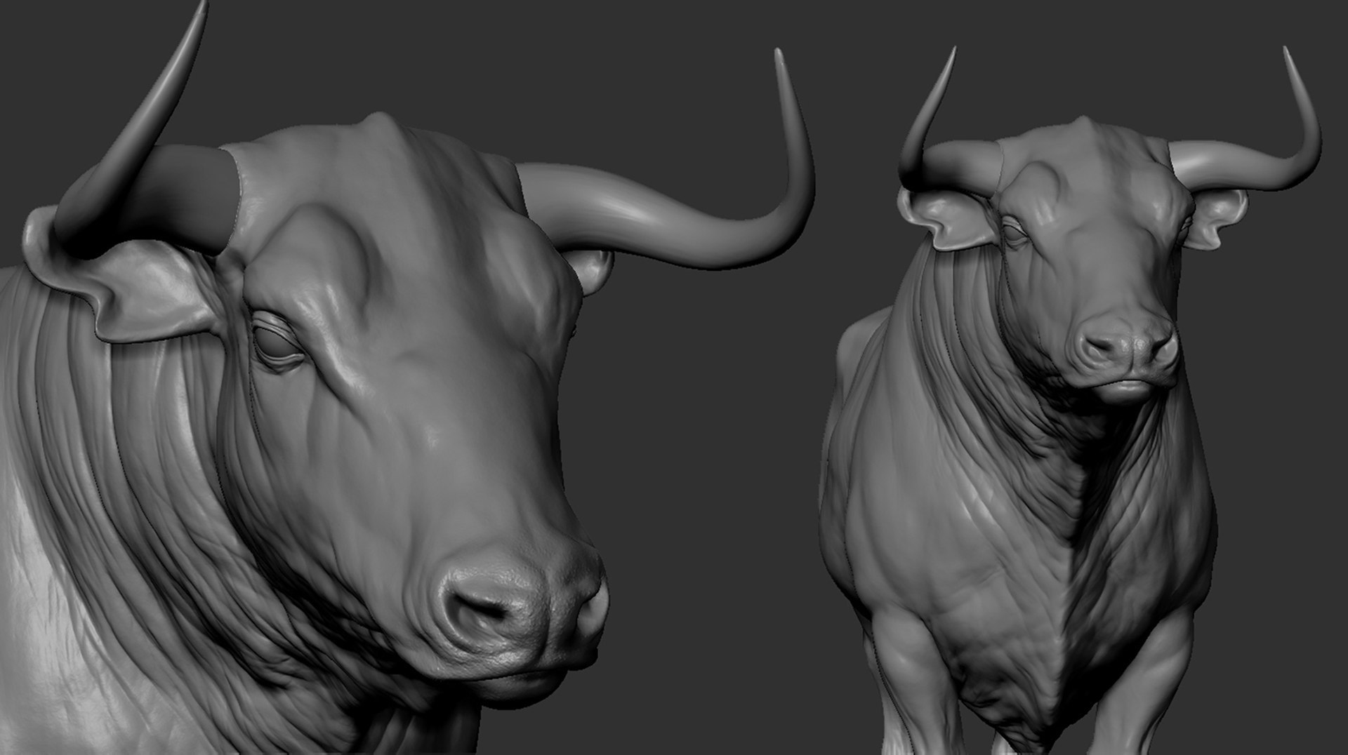 Bull model - TurboSquid 1726730