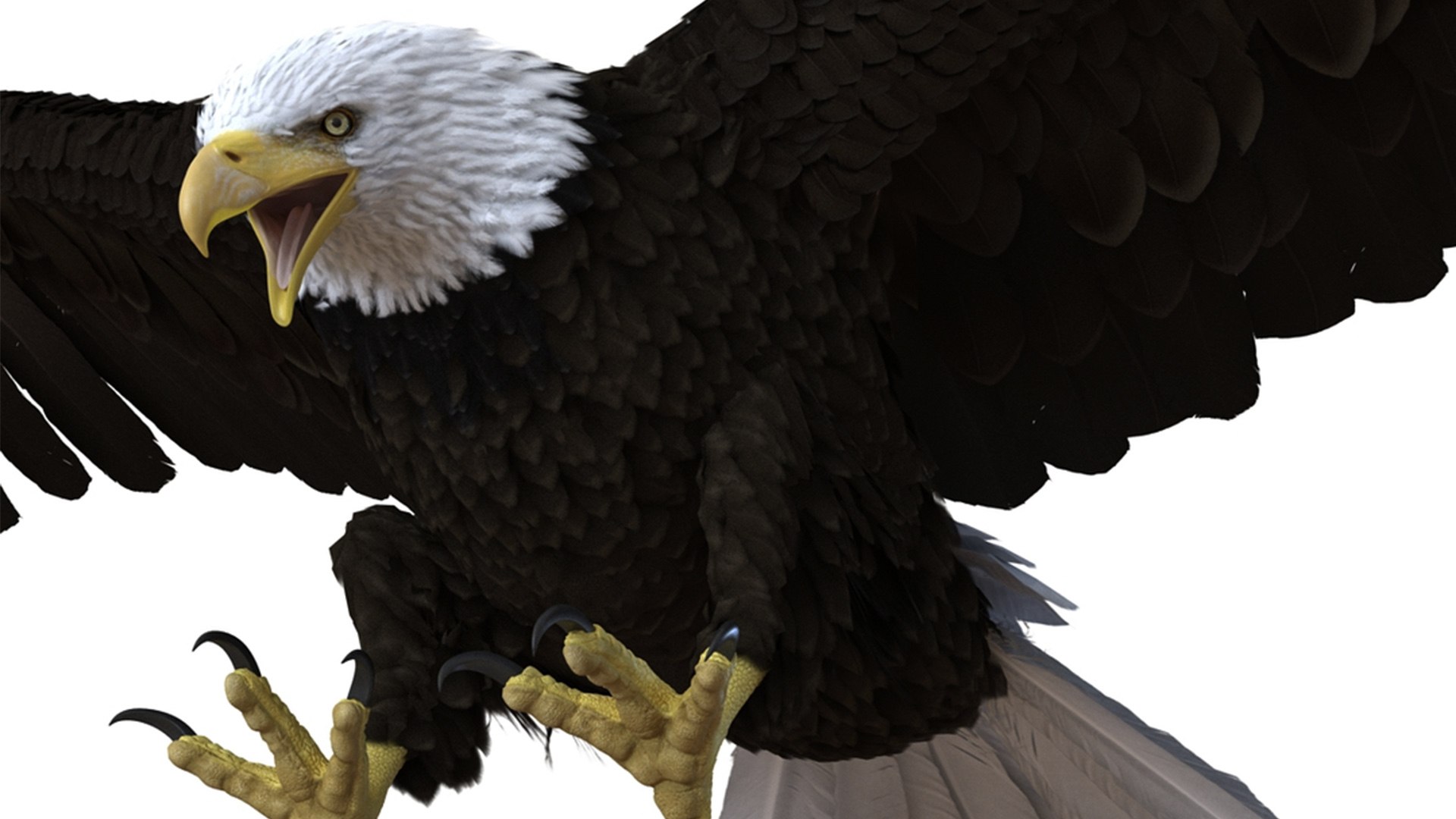 3D Realistic Bald Eagle Animated Rigged - TurboSquid 2326741