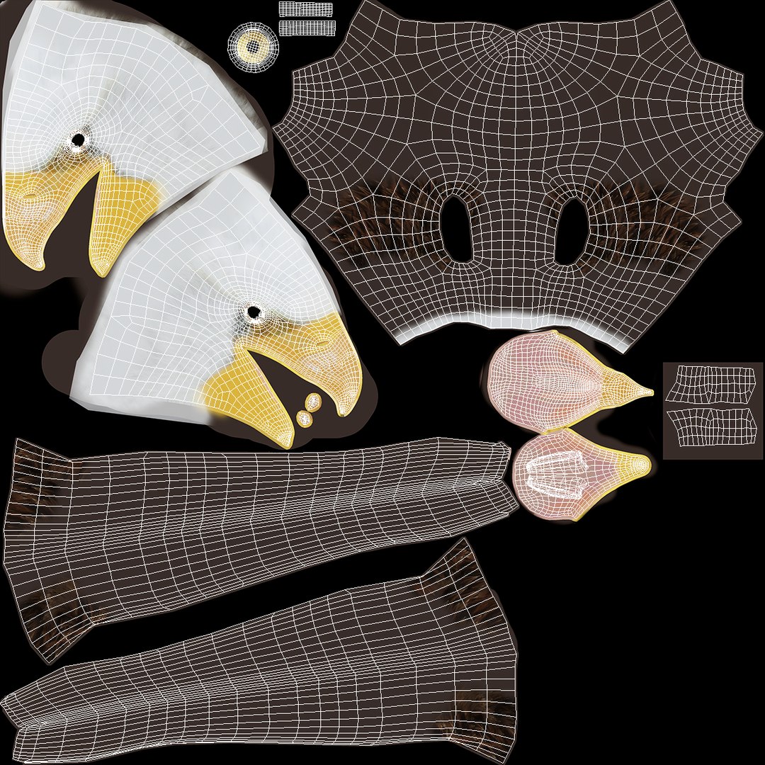 3D Realistic Bald Eagle Animated Rigged - TurboSquid 2326741