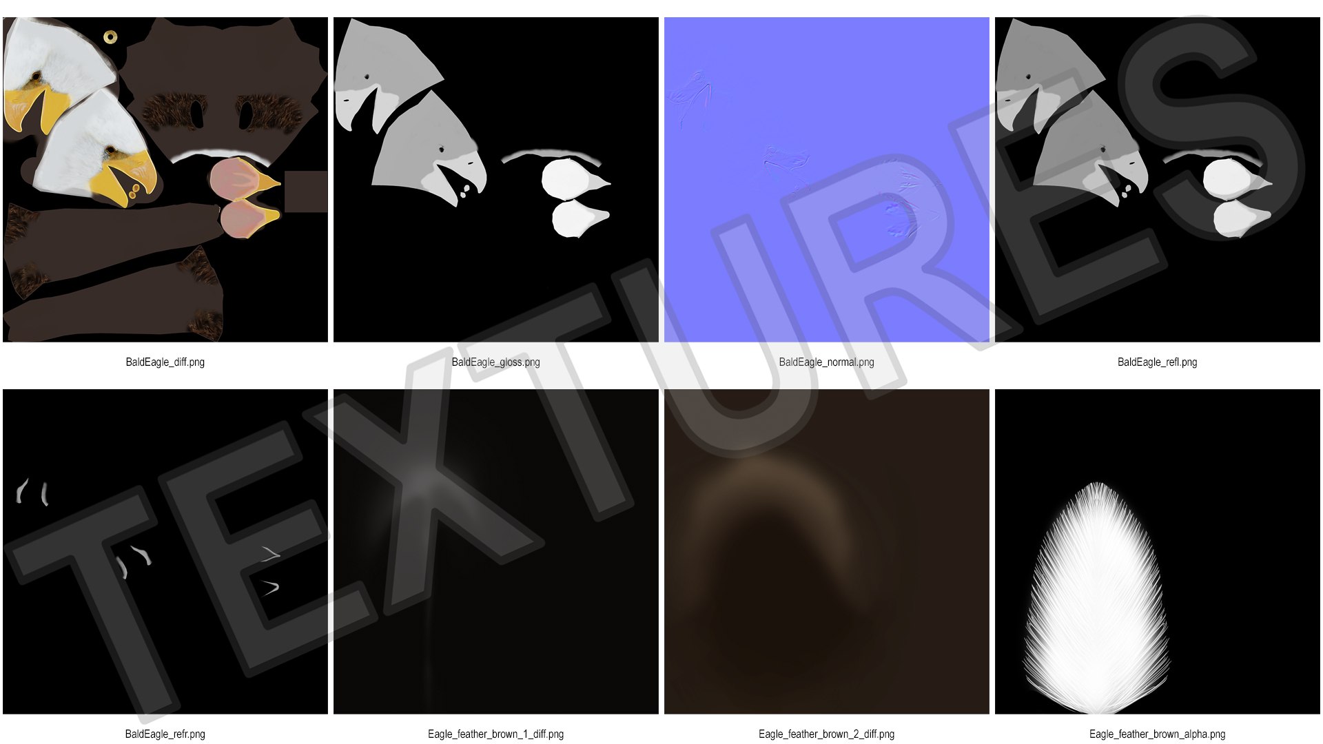 3D Realistic Bald Eagle Animated Rigged - TurboSquid 2326741