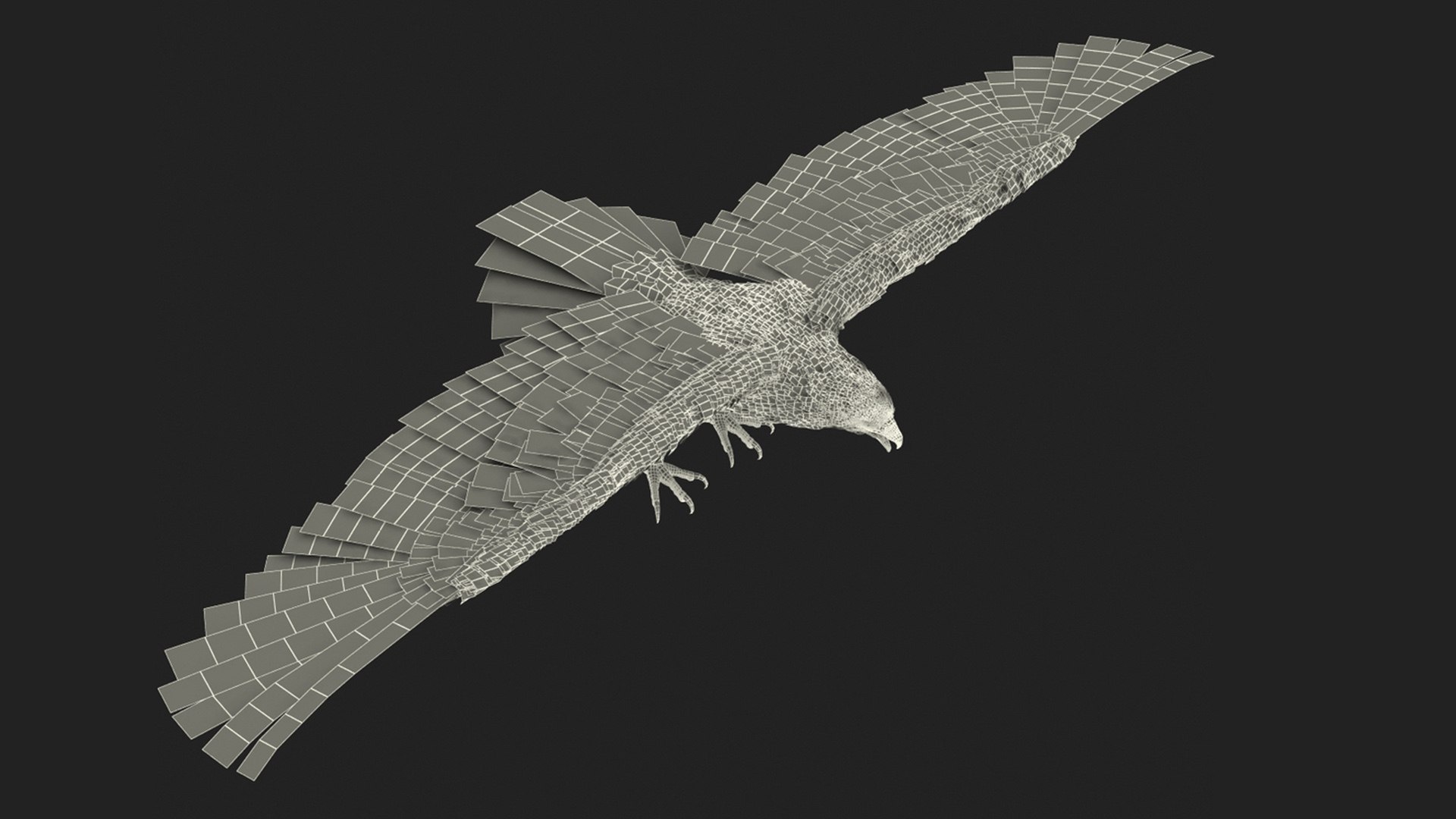 3D Realistic Bald Eagle Animated Rigged - TurboSquid 2326741