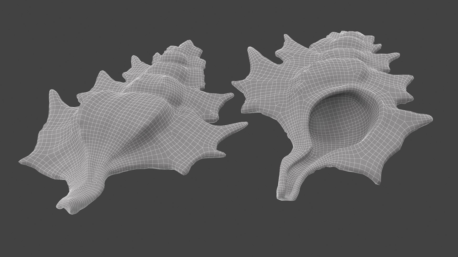 3D Gyrineum Perca Seashell - TurboSquid 1732951