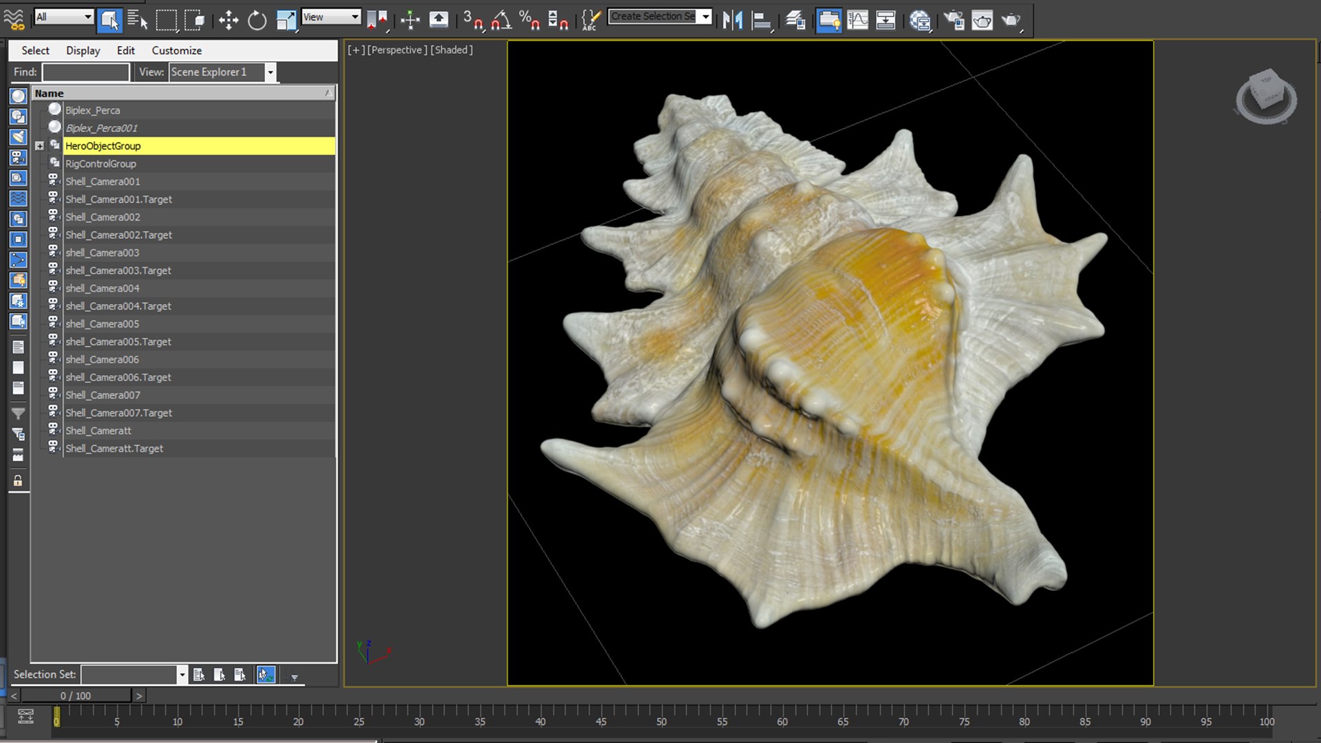 3D Gyrineum Perca Seashell - TurboSquid 1732951