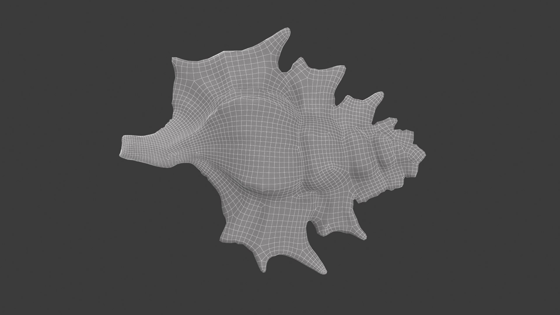 3D Gyrineum Perca Seashell - TurboSquid 1732951