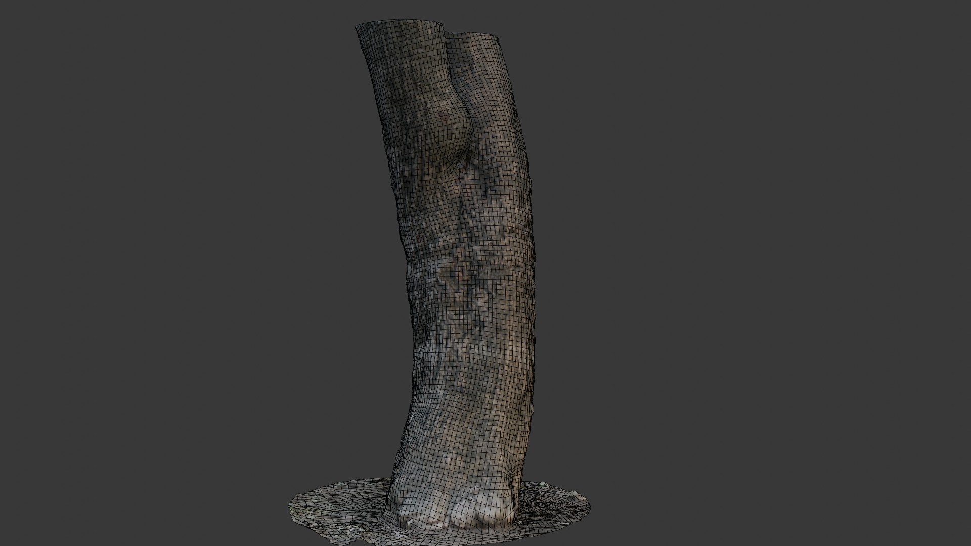 3D Tree Trunk Scan Model - TurboSquid 2395600