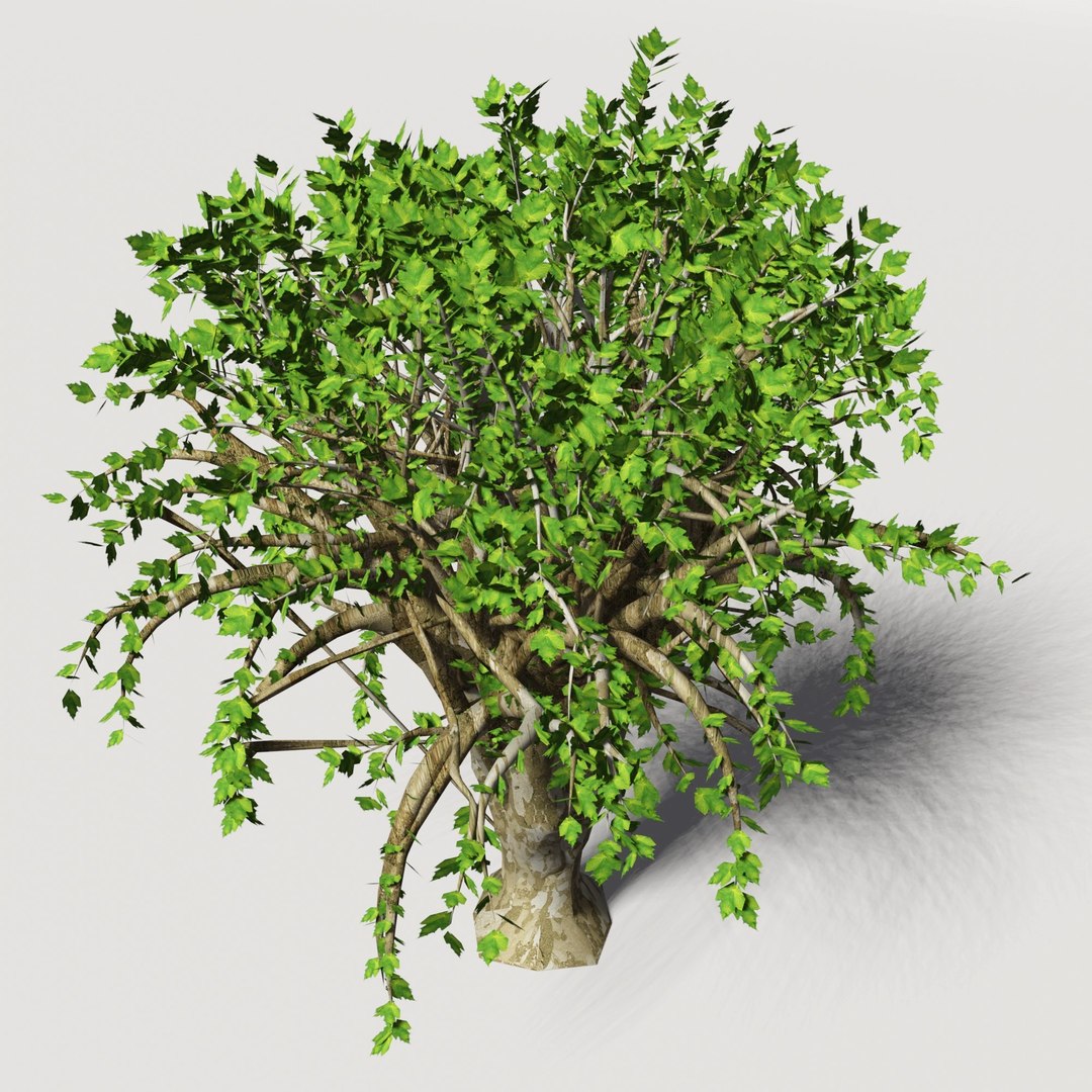 3D tree 01 model - TurboSquid 1482428