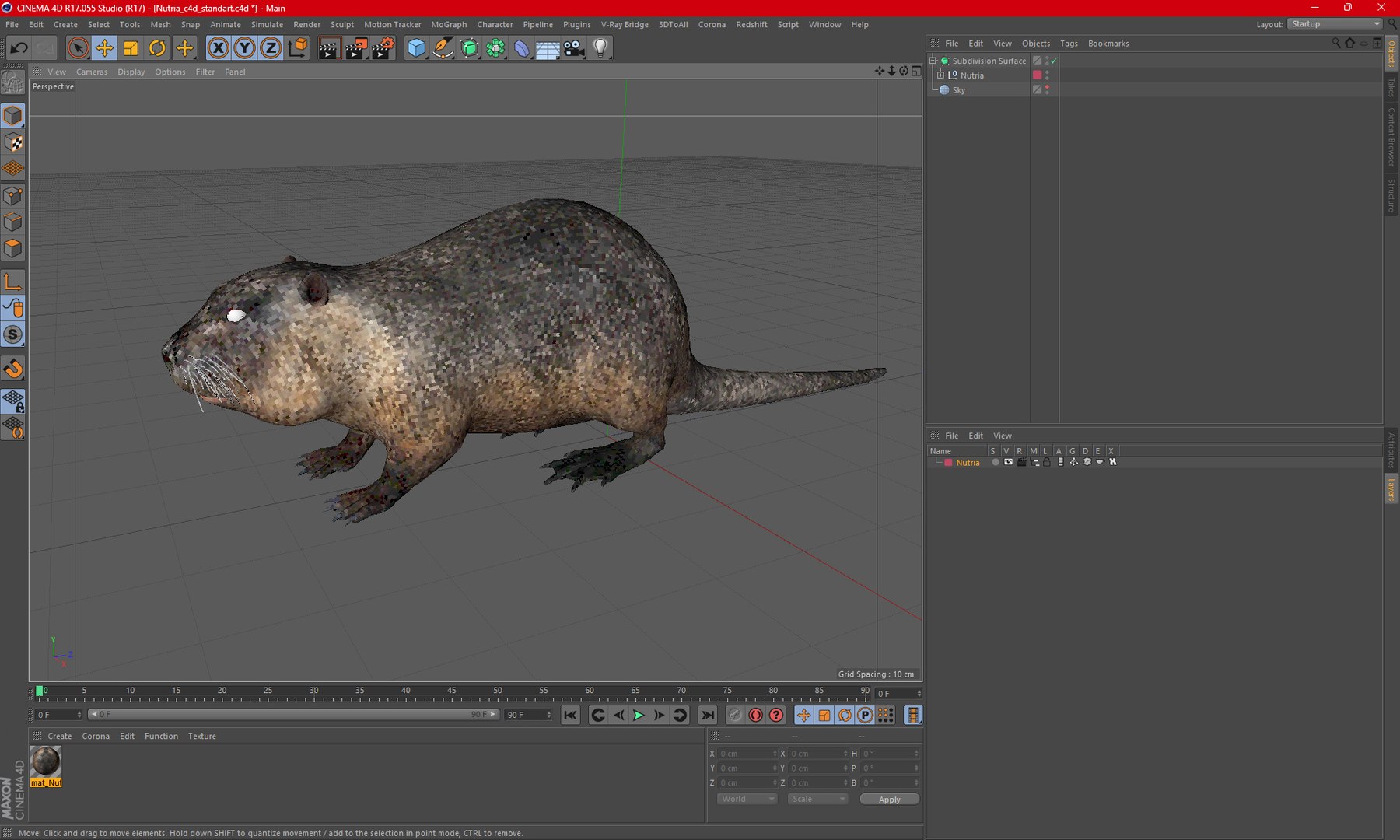 Nutria Model - TurboSquid 2181267