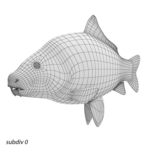 3d carp fish