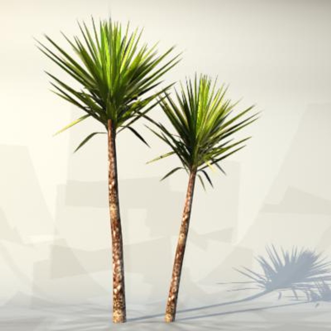 pc palm 3d model