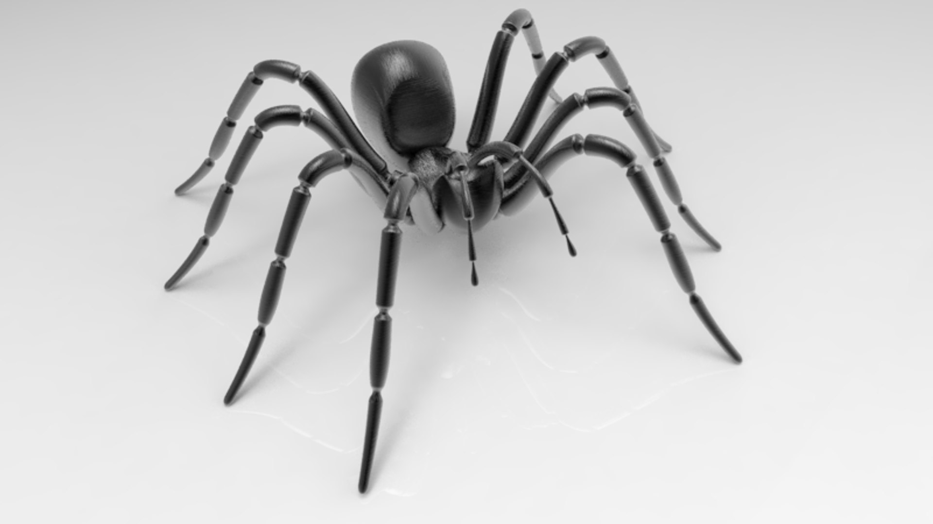 3D spider boris model - TurboSquid 1220159