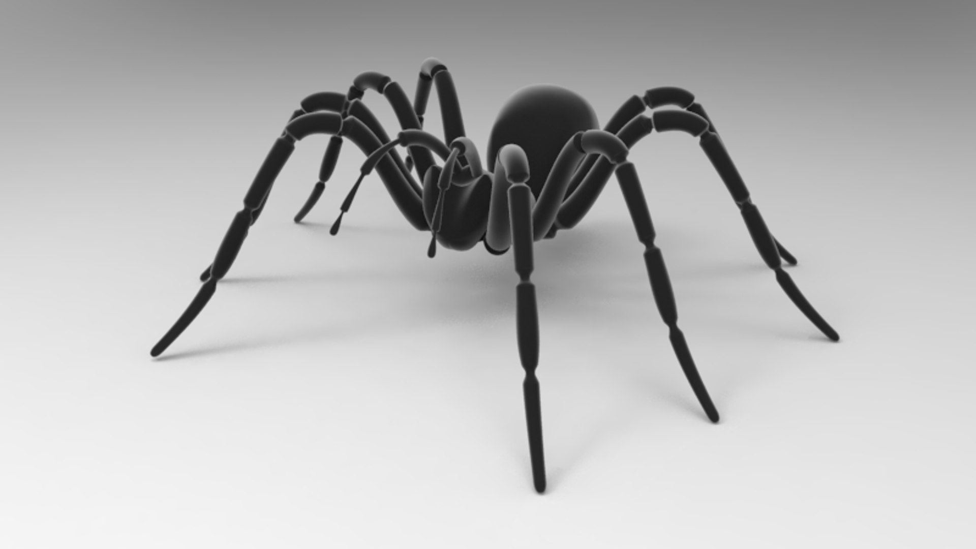 3D spider boris model - TurboSquid 1220159