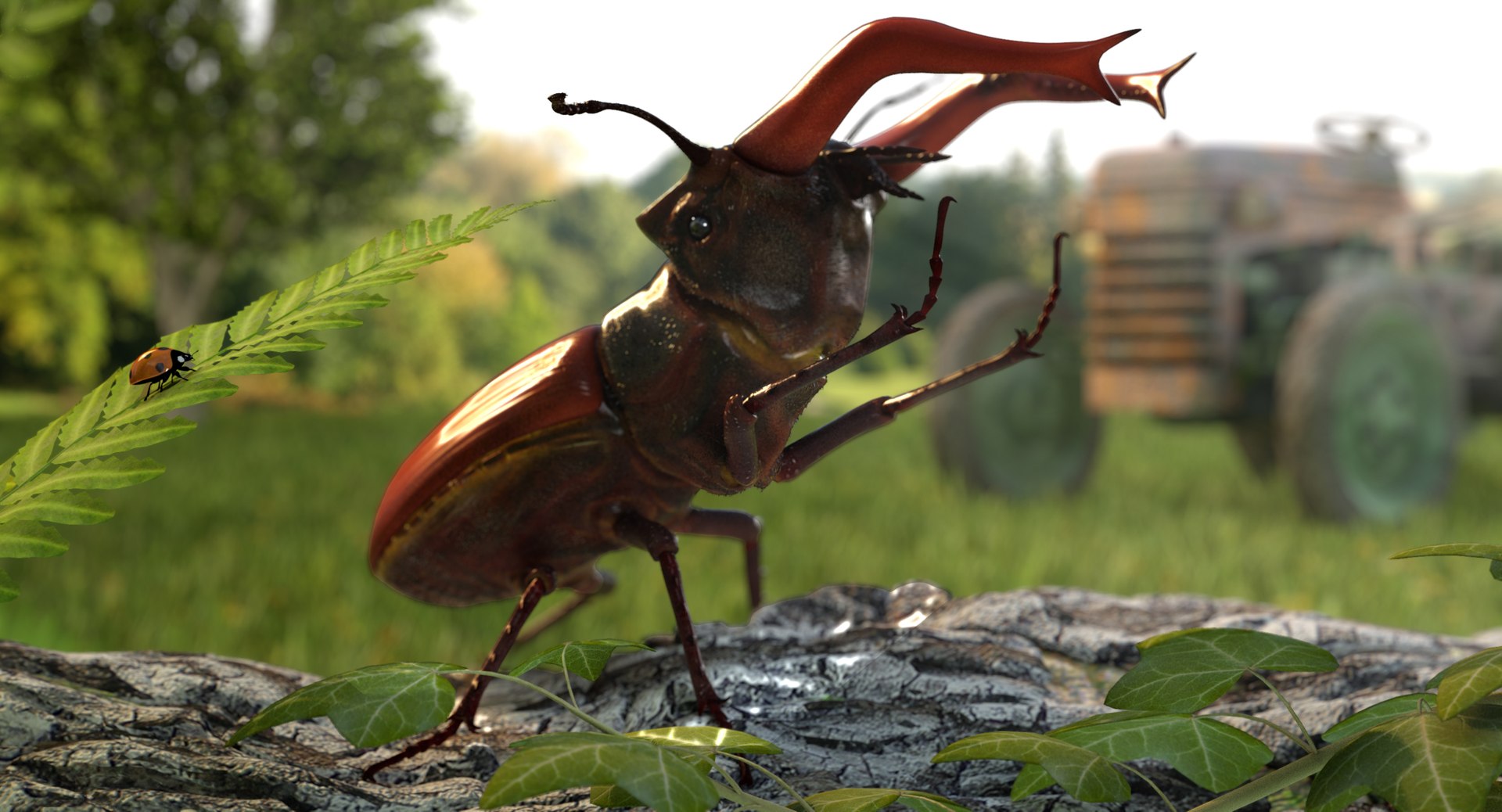 3d Model Of Lucanus Stag Beetle Cervus