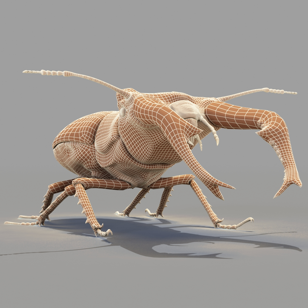 3d model of lucanus stag beetle cervus