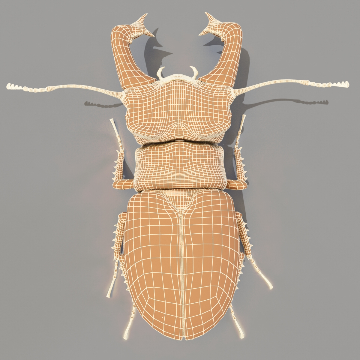 3d model of lucanus stag beetle cervus