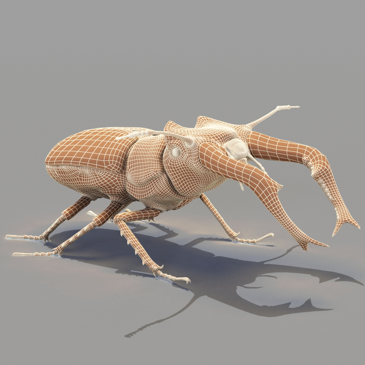 3d model of lucanus stag beetle cervus