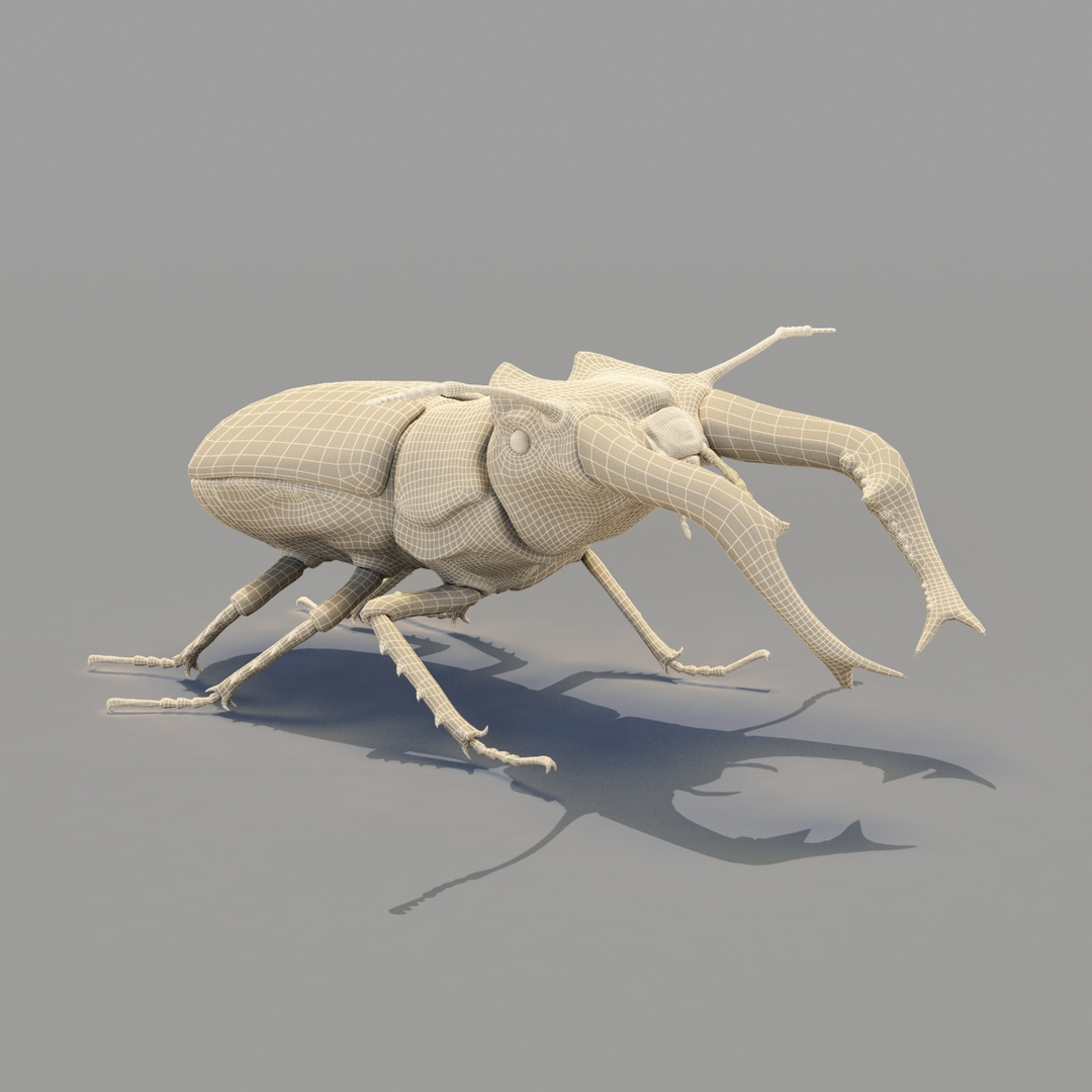 3d Model Of Lucanus Stag Beetle Cervus