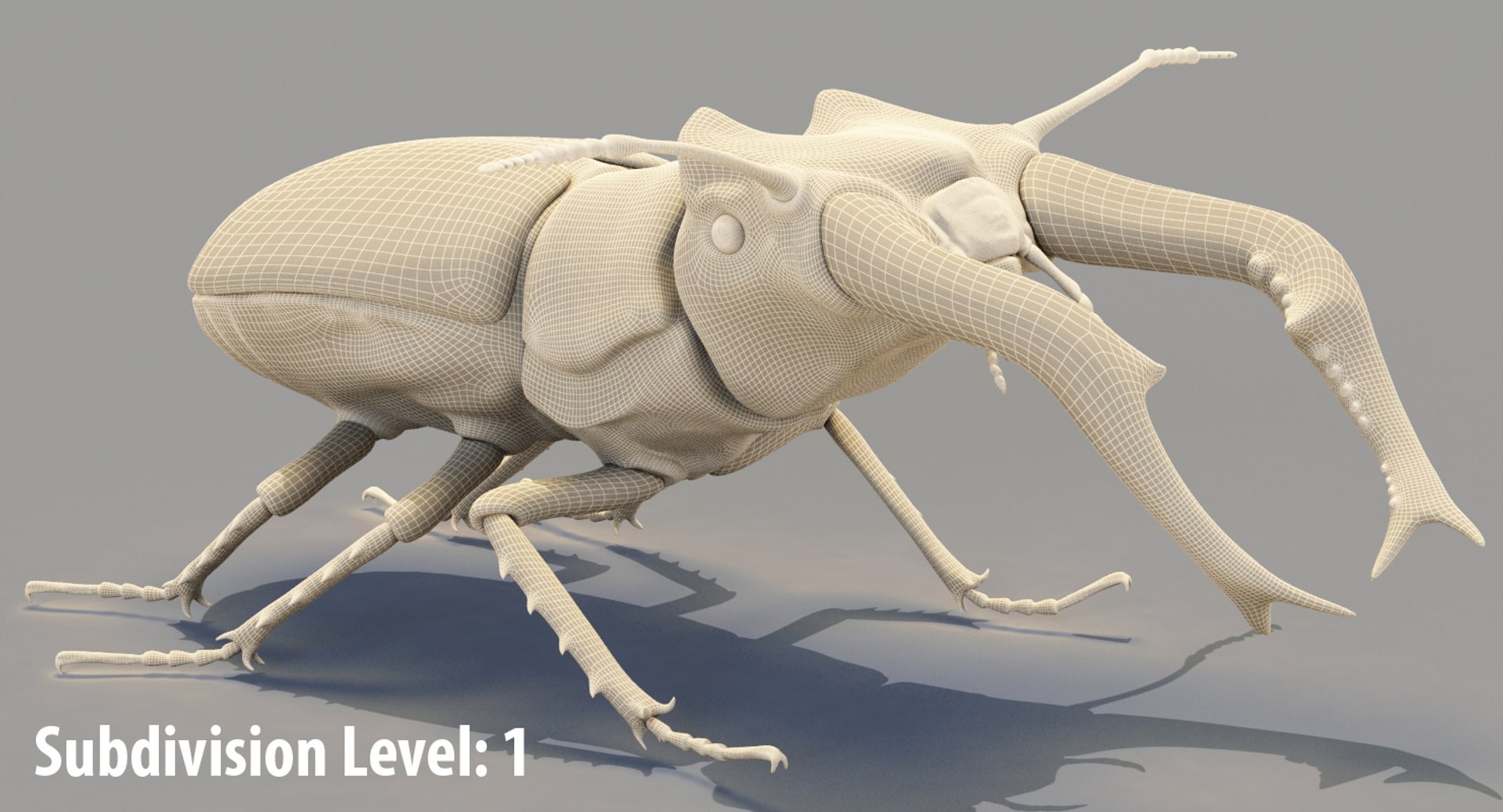 3d Model Of Lucanus Stag Beetle Cervus