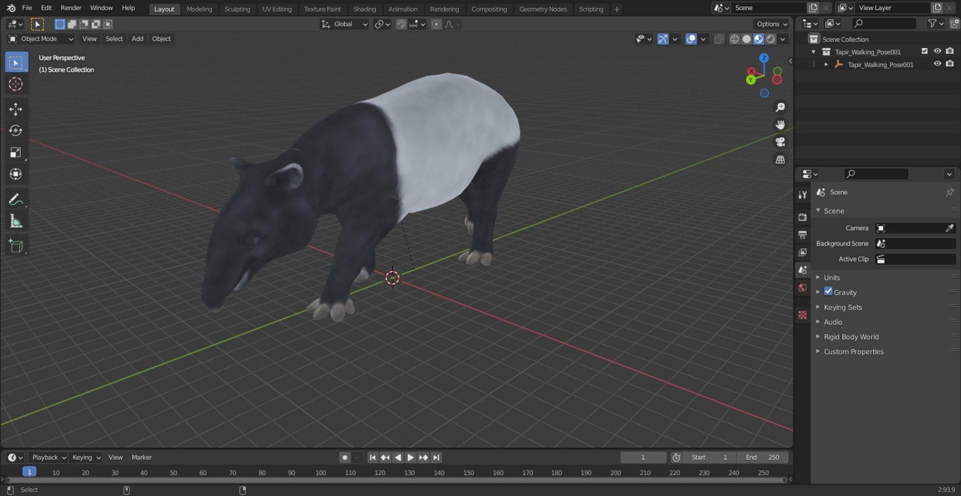 Tapir Walking Pose Model - TurboSquid 1919754